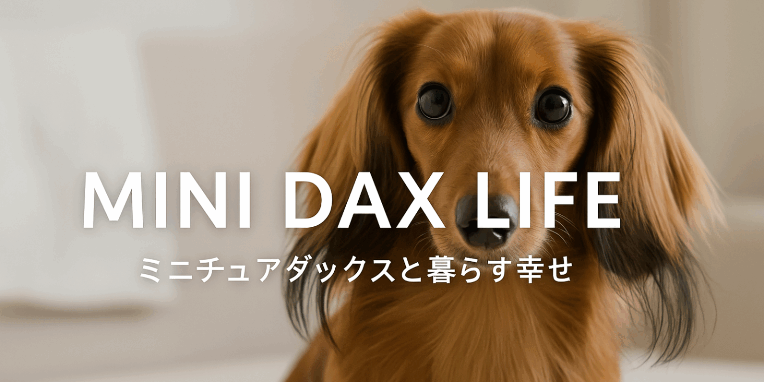 Mini Dax Life - ミニチュアダックスの飼い方・しつけ・健康・暮らしを、やさしくわかりやすく。悩みを解決しながら、もっと幸せな毎日へ。